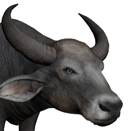 Animal Fur Variations | The Hunter Wikia | Fandom