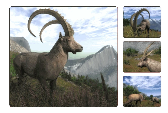 Alpine Ibex | The Hunter Wikia | Fandom
