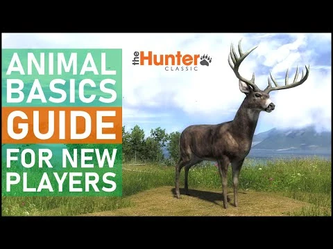 Animals | The Hunter Wikia | Fandom