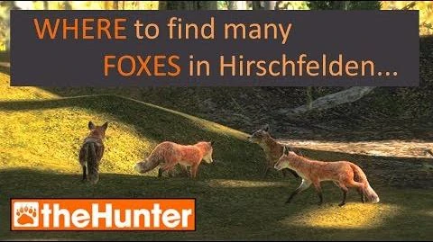 Red Fox Missions | The Hunter Wikia | Fandom