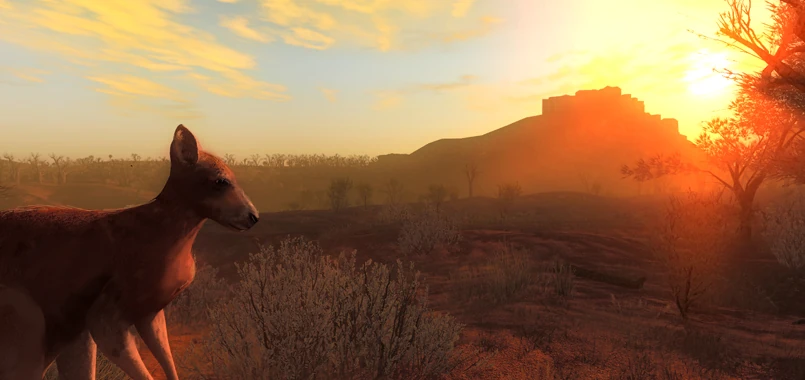 Red Kangaroo | The Hunter Wikia | Fandom