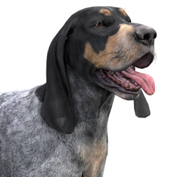 Dogs | The Hunter Wikia | Fandom