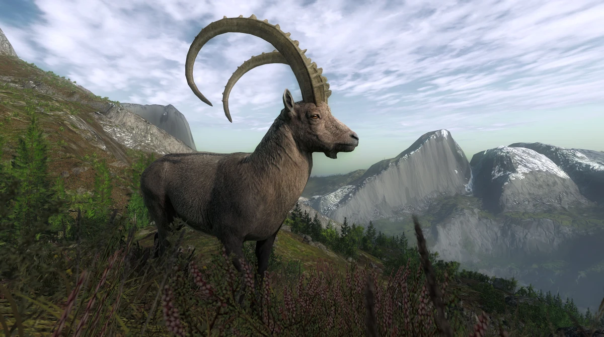 Alpine Ibex | The Hunter Wikia | Fandom
