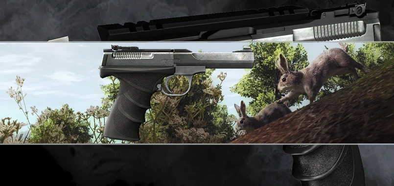 .22 Pistol | The Hunter Wikia | Fandom