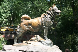 Balto Wiki | Fandom