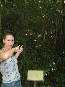 Character Profile: Sarah Kent | The Islands Wiki | Fandom