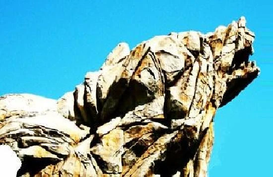 VILLE: Wolf Summit | The Islands Wiki | Fandom