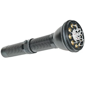 Character Profile: Sarah Kent | The Islands Wiki | Fandom