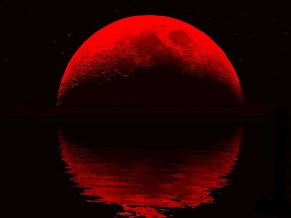 FACTION: Red Moon PMC | The Islands Wiki | Fandom