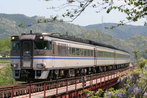 LOCOMOTIVE: Fuji KiHa-181 | The Islands Wiki | Fandom