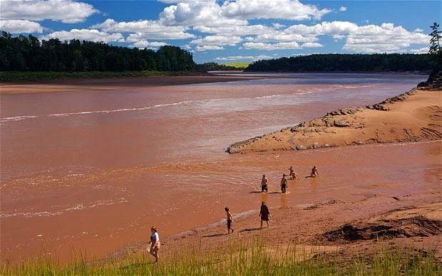 RIVER: Sand Pebble River | The Islands Wiki | Fandom