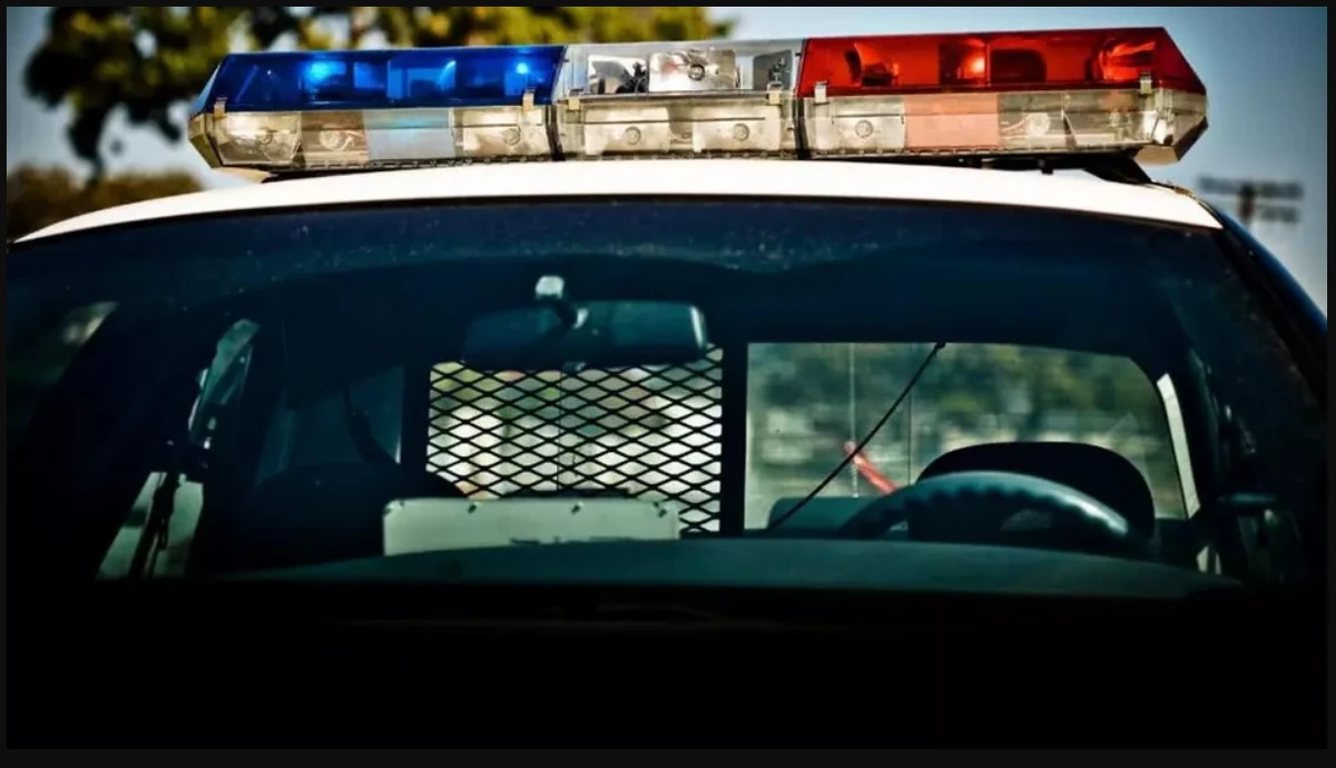 ISLANDS LAW ENFORCEMENT | The Islands Wiki | Fandom