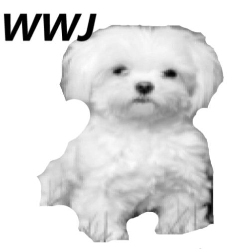 The J Conflict Wiki | Fandom