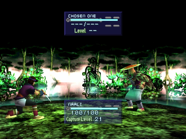 Chosen One | Jade Cocoon Wiki | Fandom