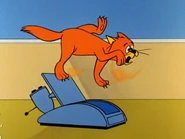 Jetsons' Cat | The Jetsons Wiki | Fandom