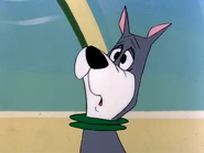 Astro | The Jetsons Wiki | Fandom