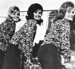 The Angels | Johnny Clark Wiki | Fandom