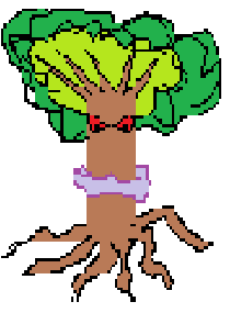 Evil Tree | The Journey of Magic Wiki | Fandom