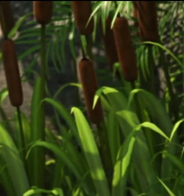 Reeds | The Jungle Bunch Wiki | Fandom