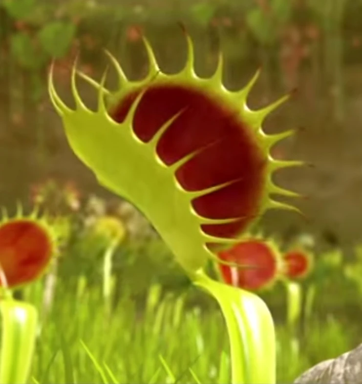 Venus Fly Traps | The Jungle Bunch Wiki | Fandom