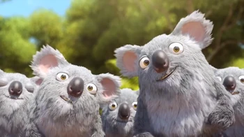 Koala | The Jungle Bunch Wiki | Fandom