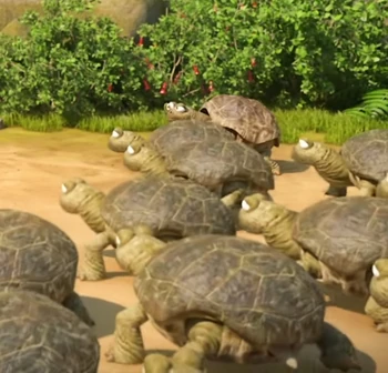 Turtle | The Jungle Bunch Wiki | Fandom