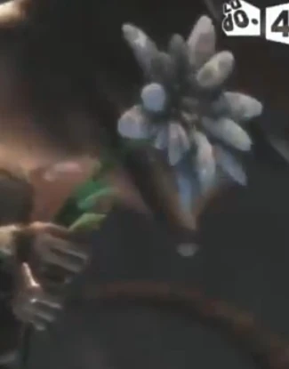 Quercus Capillus | The Jungle Bunch Wiki | Fandom