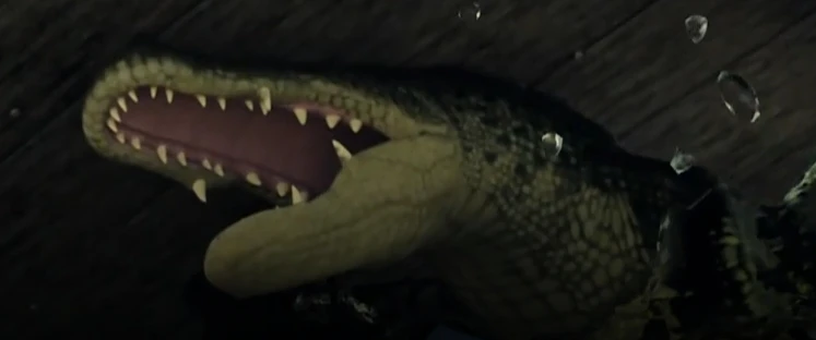 Bruce | The Jungle Bunch Wiki | Fandom