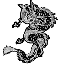 Iron Dragons | The Karate Kid Wiki | Fandom