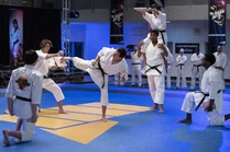 The Fall | The Karate Kid Wiki | Fandom