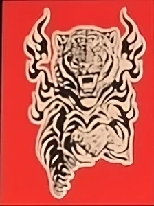 Tiger Strike Karate | The Karate Kid Wiki | Fandom