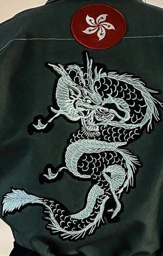 Iron Dragons | The Karate Kid Wiki | Fandom