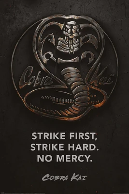 Cobra Kai | Thekaratekid Wiki | Fandom