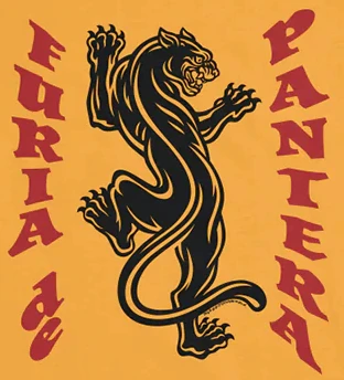 Furia de Pantera | The Karate Kid Wiki | Fandom