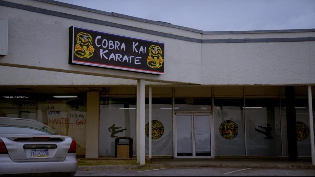 Johnny Lawrence's Dojo | The Karate Kid Wiki | Fandom