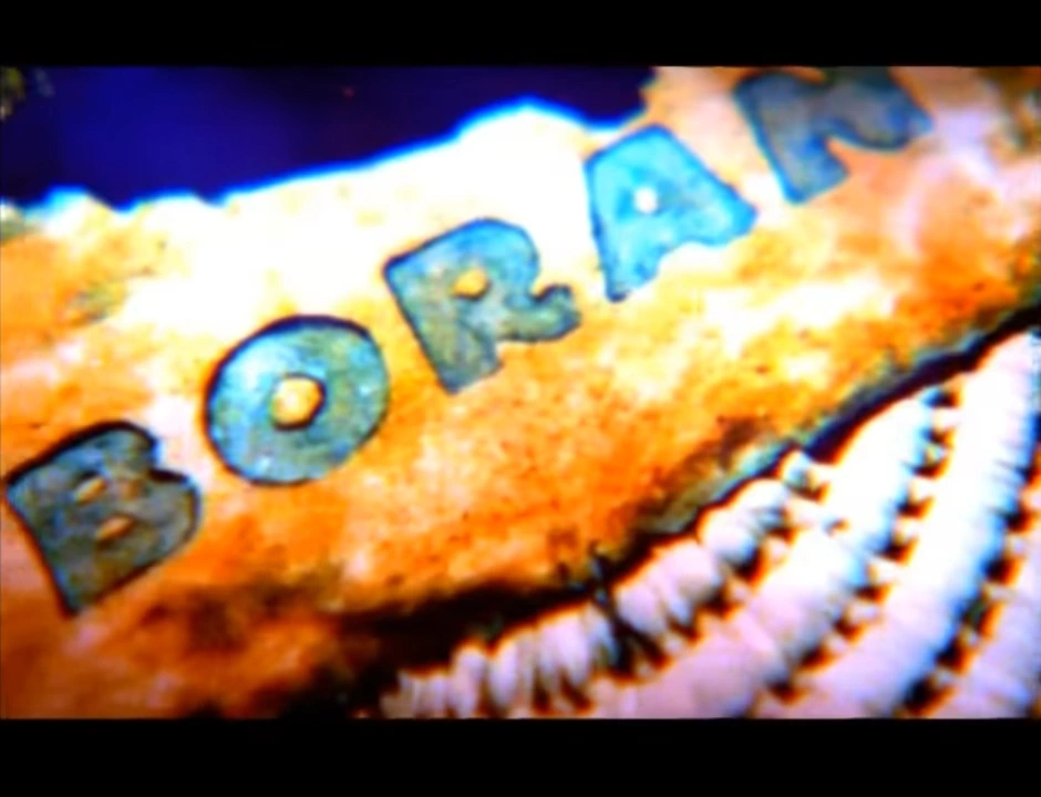 Boran | TheKingdakid's Survivor Roleplay Series community | Fandom