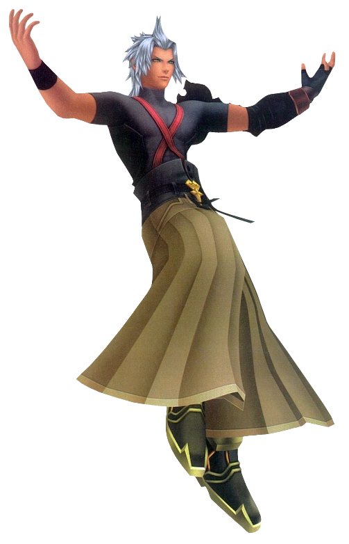 Ansem Seeker Of Darkness Cosplay