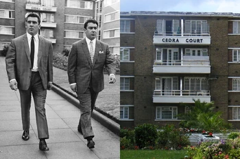 Cedra Court | The Kray Twins Wiki | Fandom