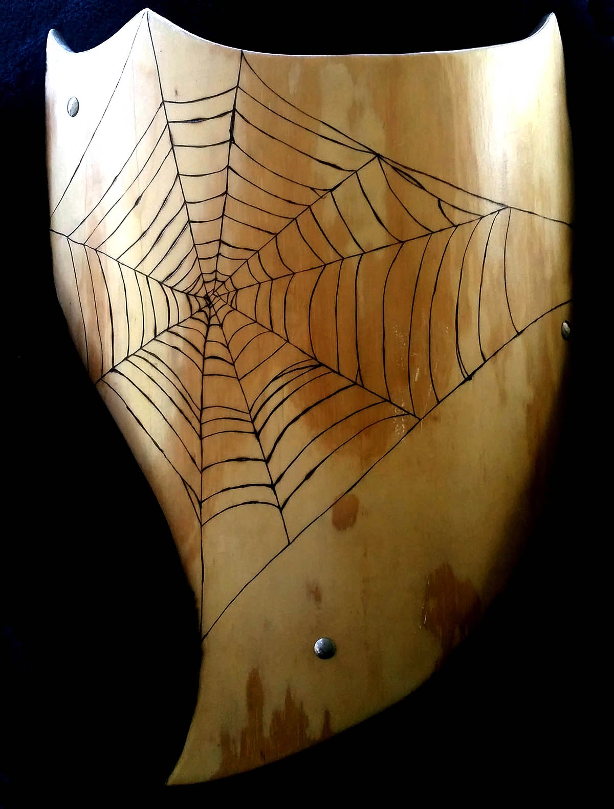 Spider Shield | TheLadsMarch Wiki | Fandom