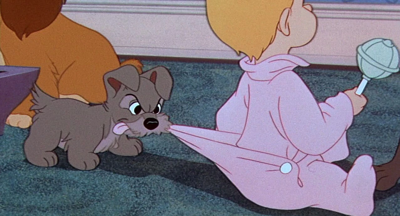Lady And The Tramp What Is A Baby