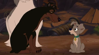 Buster/Gallery | The lady and the tramp Wiki | Fandom