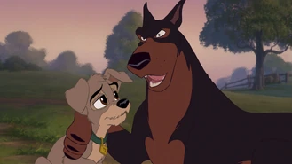 Buster/Gallery | The lady and the tramp Wiki | Fandom