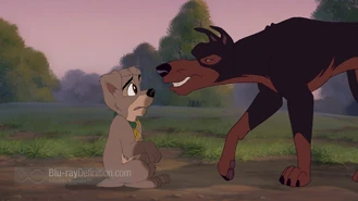 Buster/Gallery | The lady and the tramp Wiki | Fandom