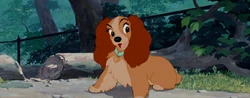 Lady | The lady and the tramp Wiki | Fandom