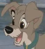Scamp/Gallery | The lady and the tramp Wiki | Fandom