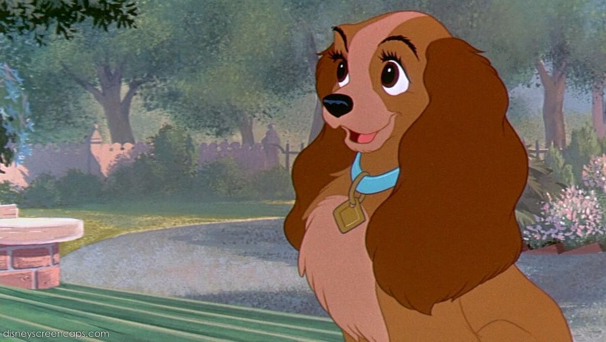 Lady The Lady And The Tramp Wiki Fandom