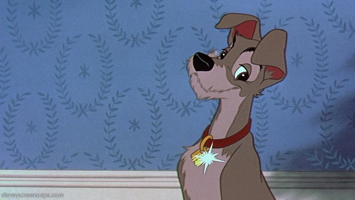 Tramp | Theladyandthetrampfanon Wiki | Fandom