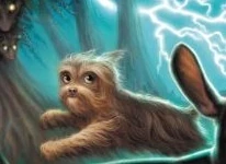 Gizmo/Gallery | The Last Dogs Wiki | Fandom
