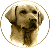 The Last Dogs Wiki | Fandom