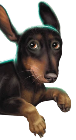 Rocky | The Last Dogs Wiki | Fandom